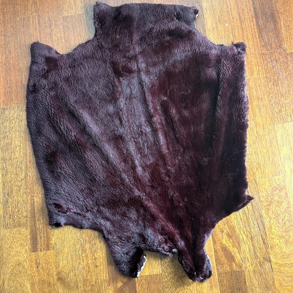 Beaver Pelt - Etsy