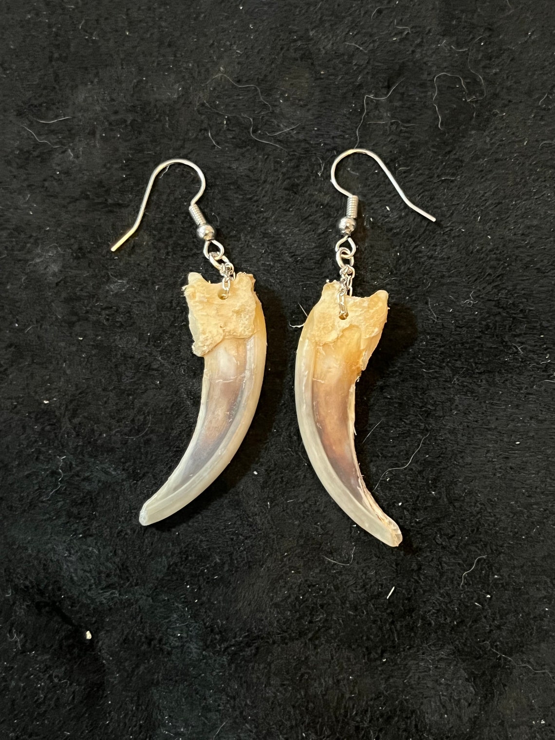 Real Badger Front Claw Earrings - Etsy