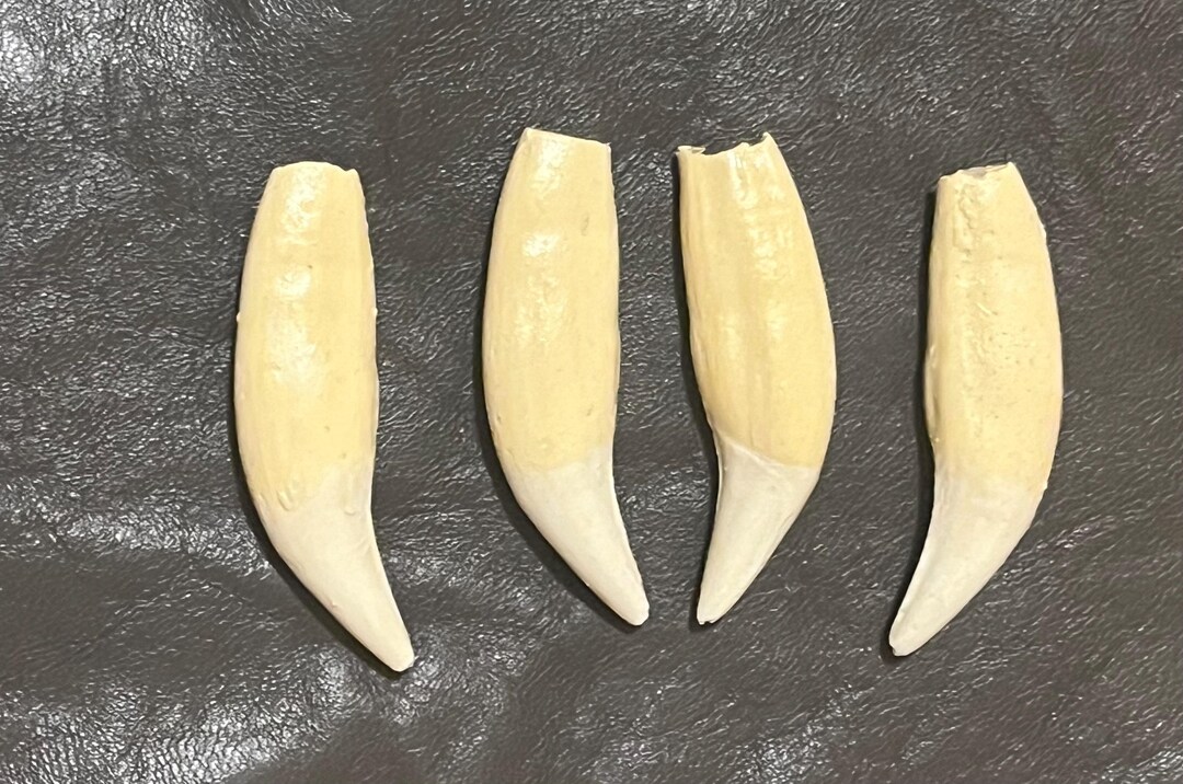 Realistic Bear Fang Hand Painted Replica Set of 4 - Etsy