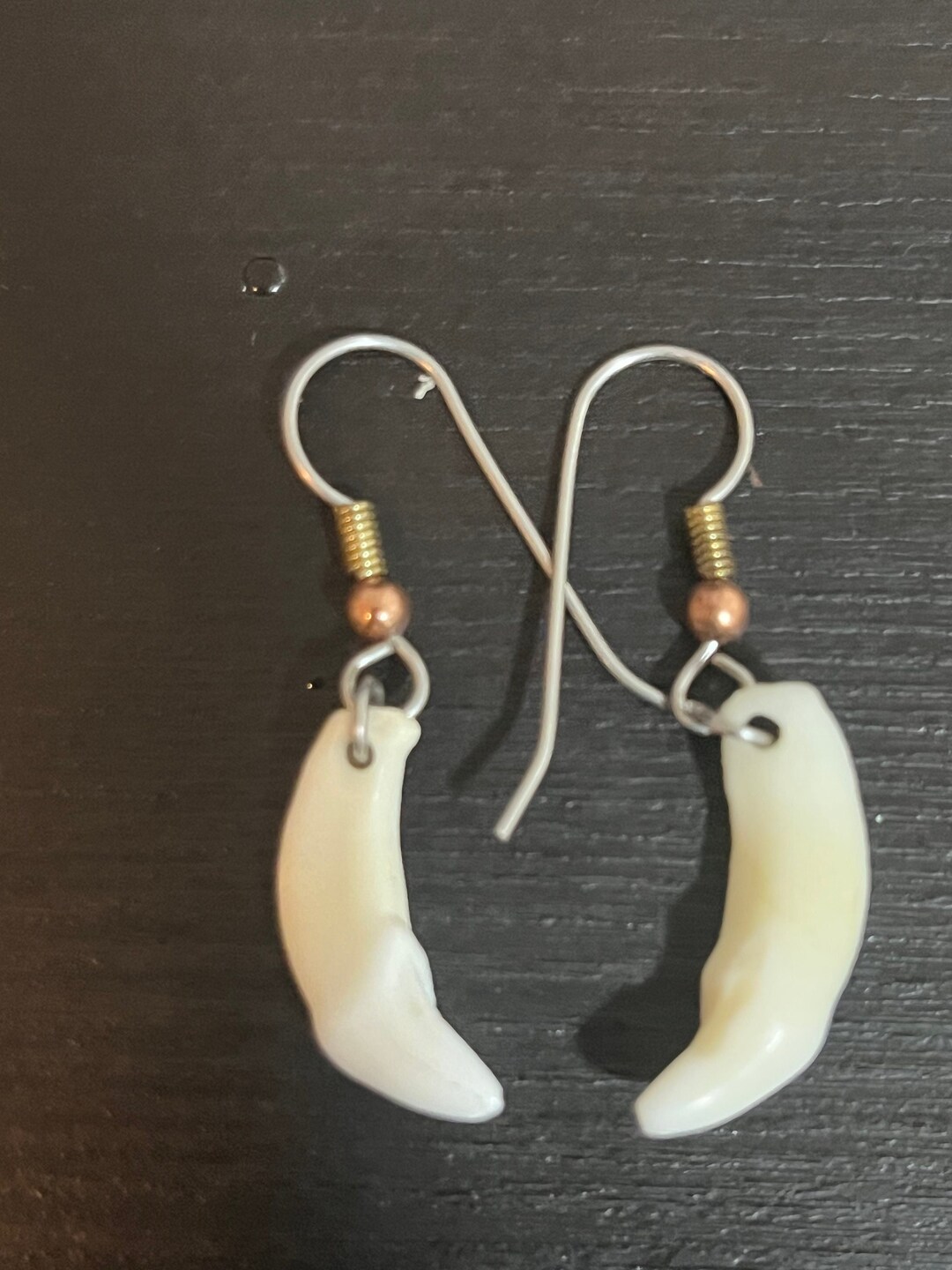 Real Wolverine Tooth Earrings on Brass Findings - Etsy