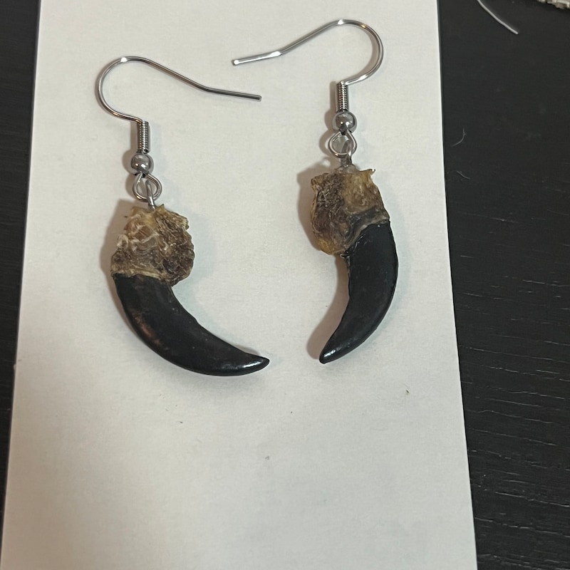 Bird Talons - Etsy