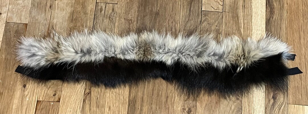 Western Coyote and FISHER Fur Hood Ruff Trim Grosgrain Attached 25” by ...