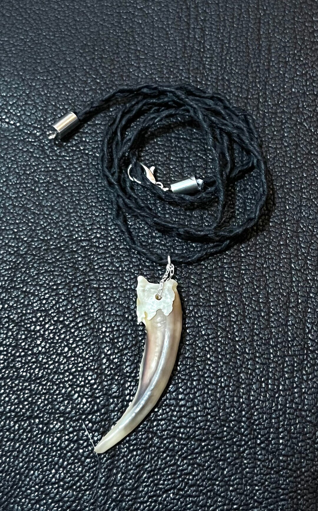 XL Badger Claw Necklace on Hand Braided Cord - Etsy