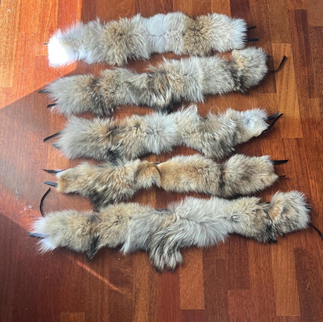 Premium Western Coyote Fur Ruffs for Parkas Grosgrain Attached Extra ...