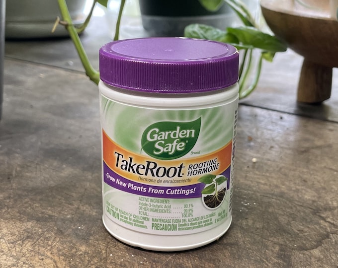 Rooting Powder for Plant Propagation, Hormone Rooting Powder, Plant ...