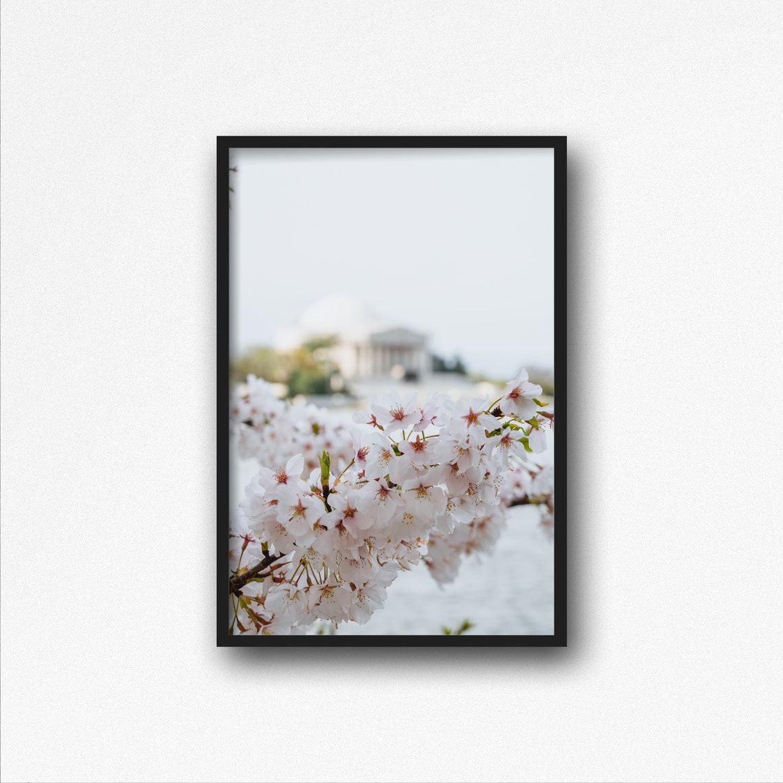 Digital Download. Washington D.C. Cherry Blossom Trees Photo. Tidal ...