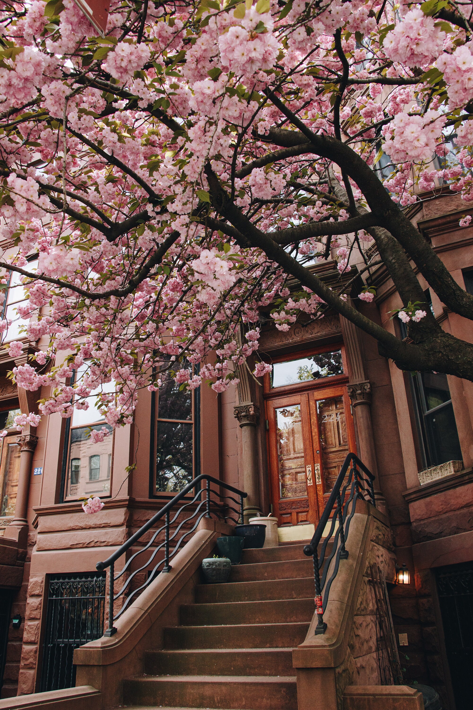 Brownstone Digital Download. Cherry Blossoms Park Slope. NYC Spring ...