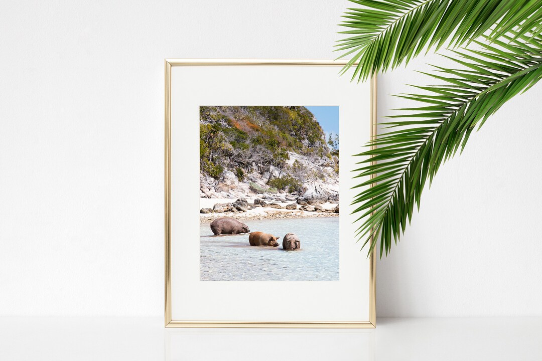 Exuma Pigs Vertical Digital Download. Exuma Island Bahamas Beach Print ...