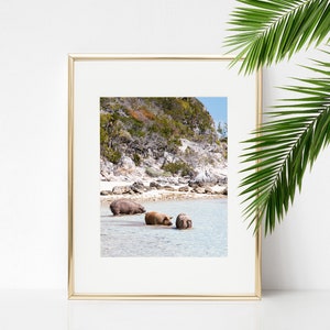 Exuma Pigs Vertical Digital Download. Exuma Island Bahamas Beach Print ...