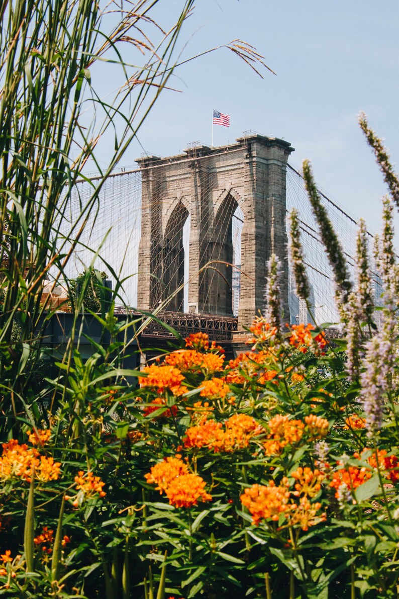 Digital Download. Brooklyn, New York. Brooklyn Bridge Flowers. DUMBO ...