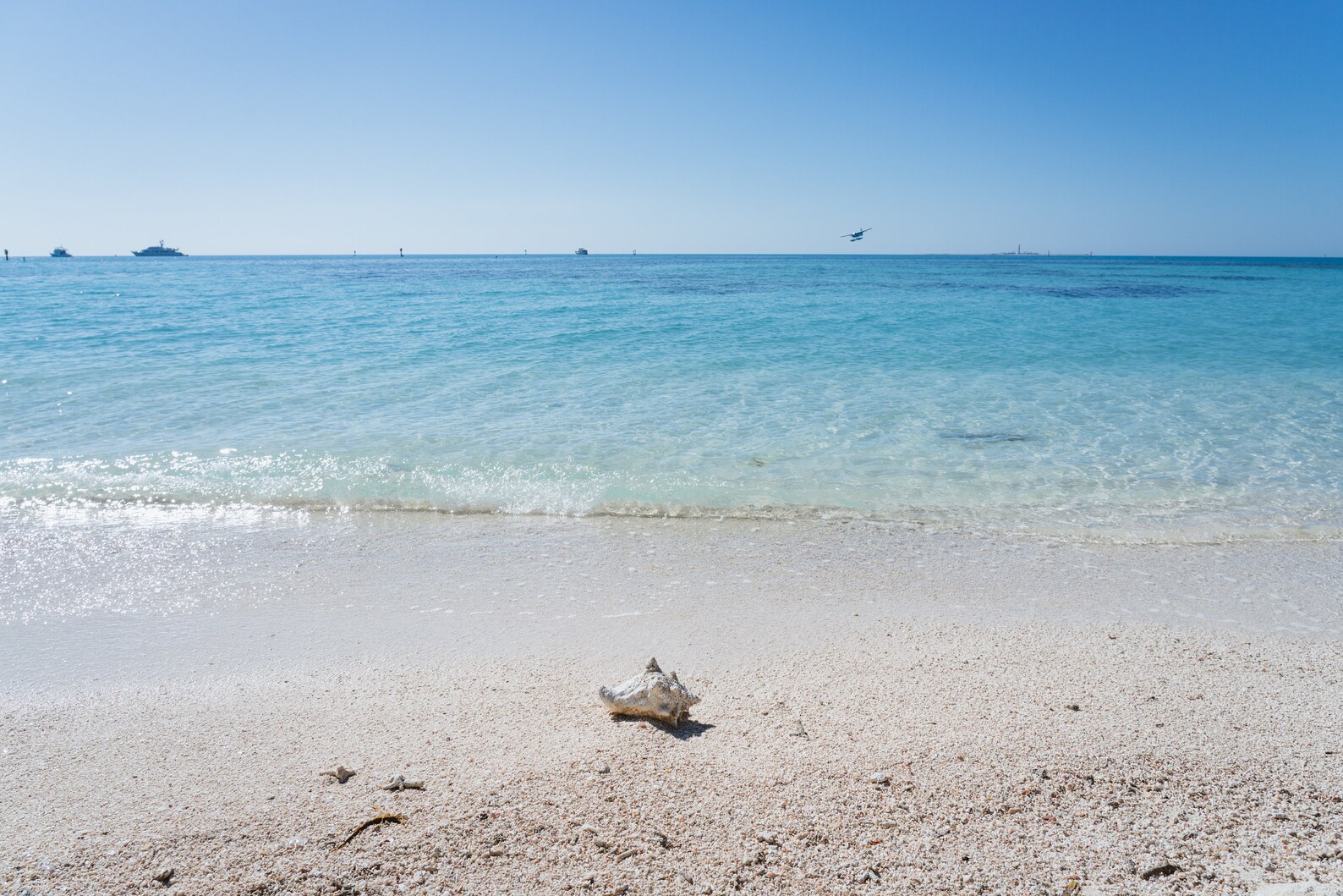 Digital Download. Conch Shell Beach Photo. Dry Tortugas National Park ...