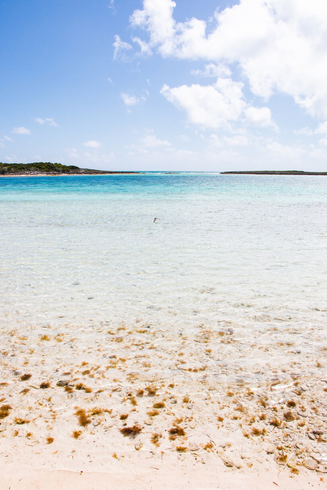 Exuma Island, Bahamas Digital Download. Exuma Beach Print. Island ...