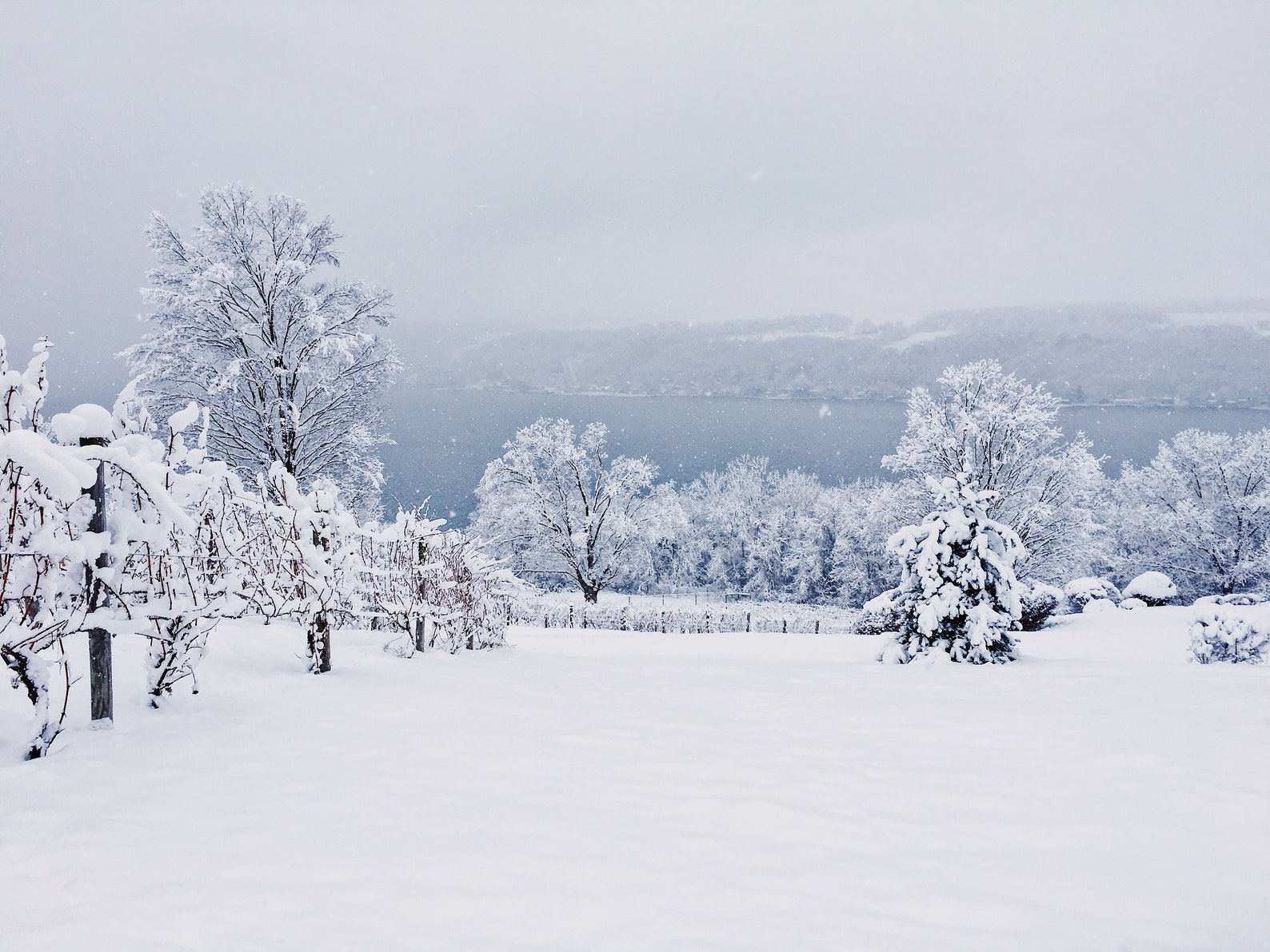 Keuka in Snow Digital Download. Keuka Lake Photo. Bluff Point Winter ...