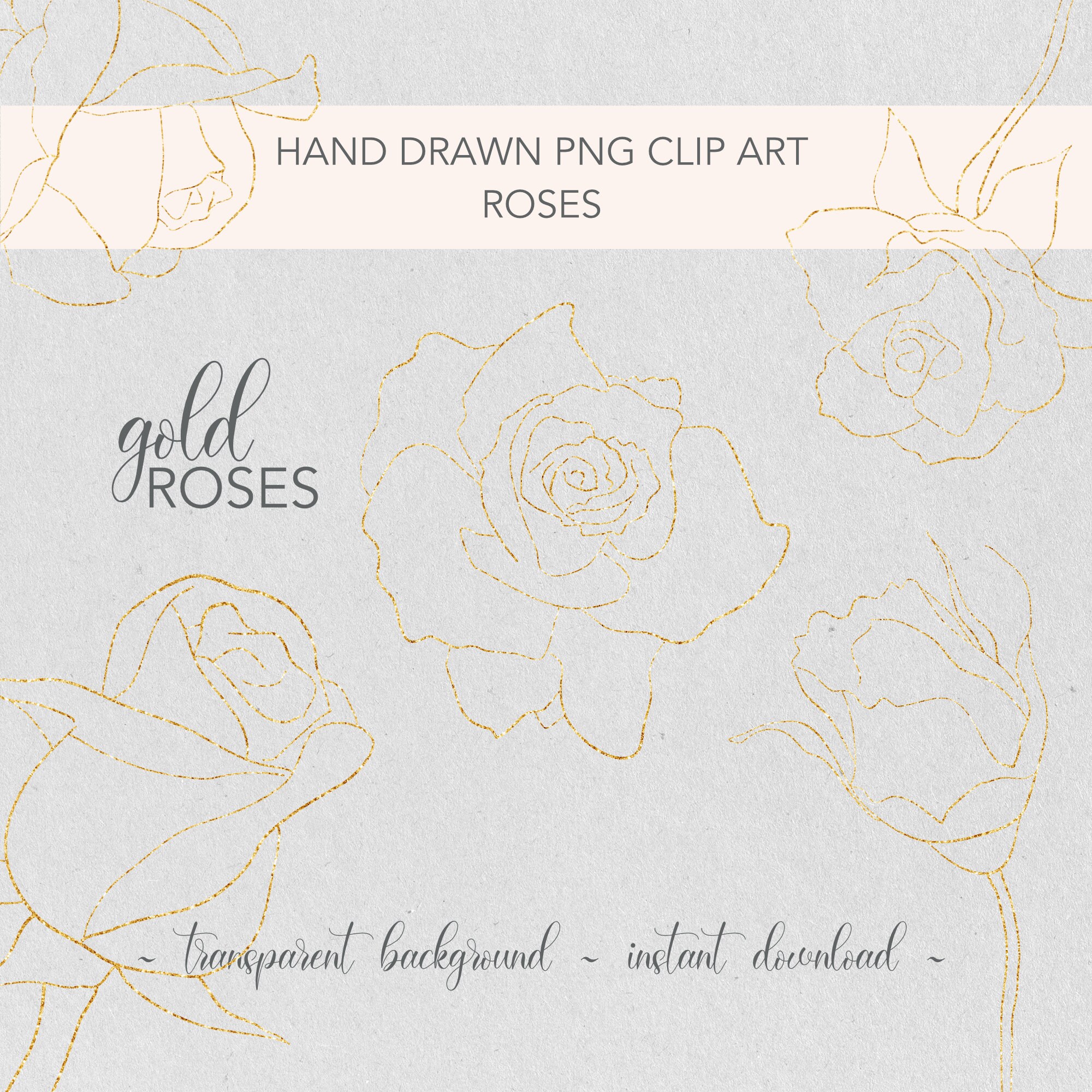 Gold Roses PNG Clip Art | 5 Hand Drawn Roses | Glitter Frame ...