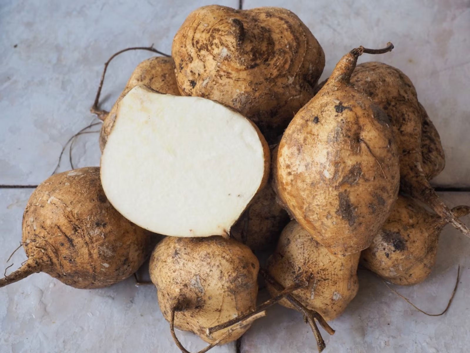 Pachyrhizus Erosus | Jicama | Mexican Yam Potato Turnip | Yambean | 20 ...