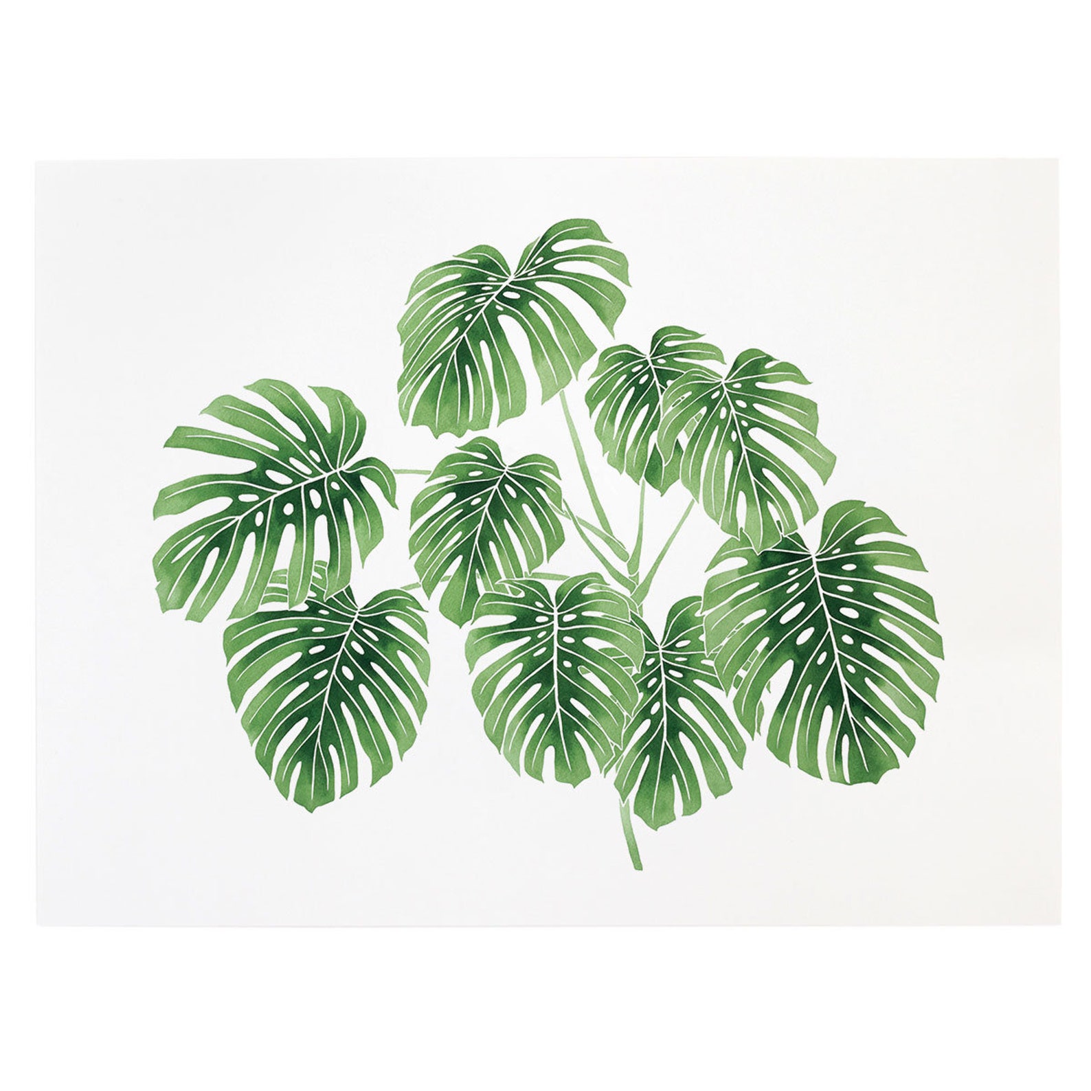 Monstera Deliciosa Print - Etsy