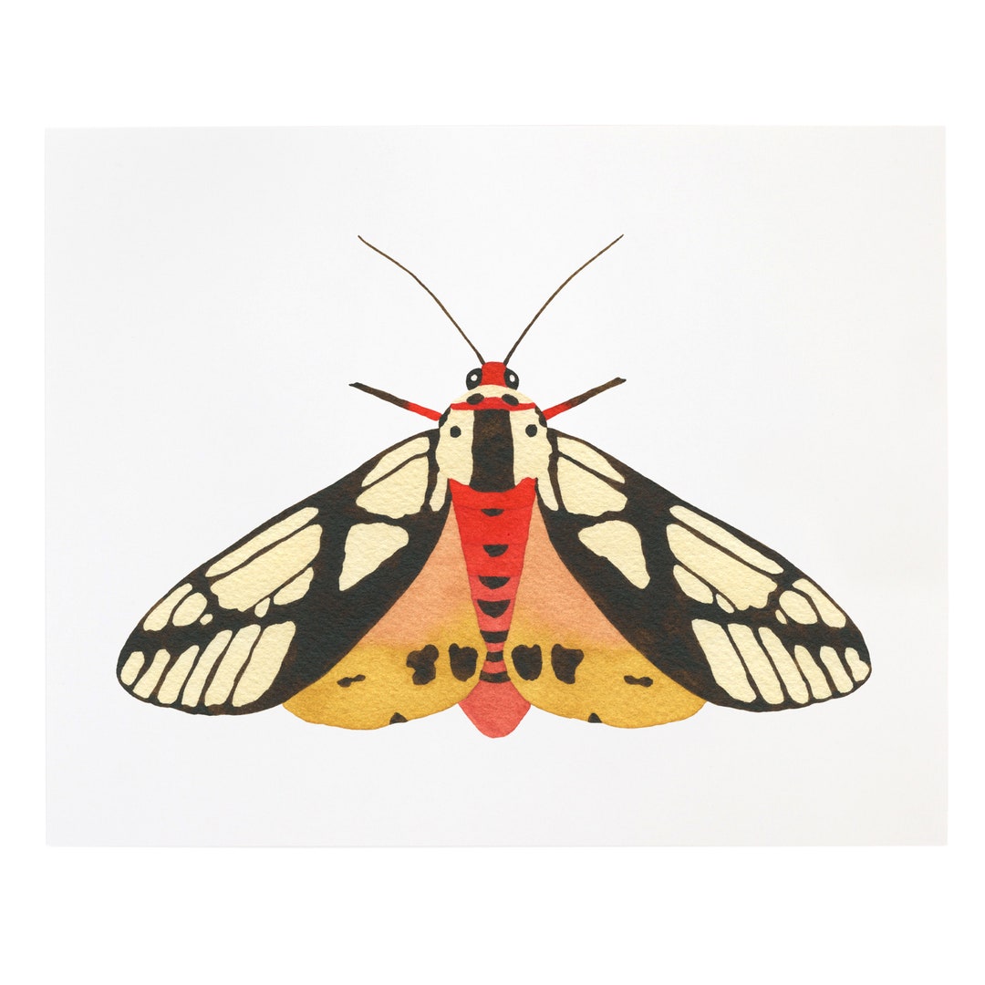 Milky Tiger Moth Print - Etsy