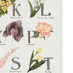 Botanical Alphabet Canvas Giclee Poster 16x24 // Alphabet Print, ABC ...