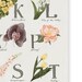 Botanical Alphabet Canvas Giclee Poster 16x24 // Alphabet Print, ABC ...