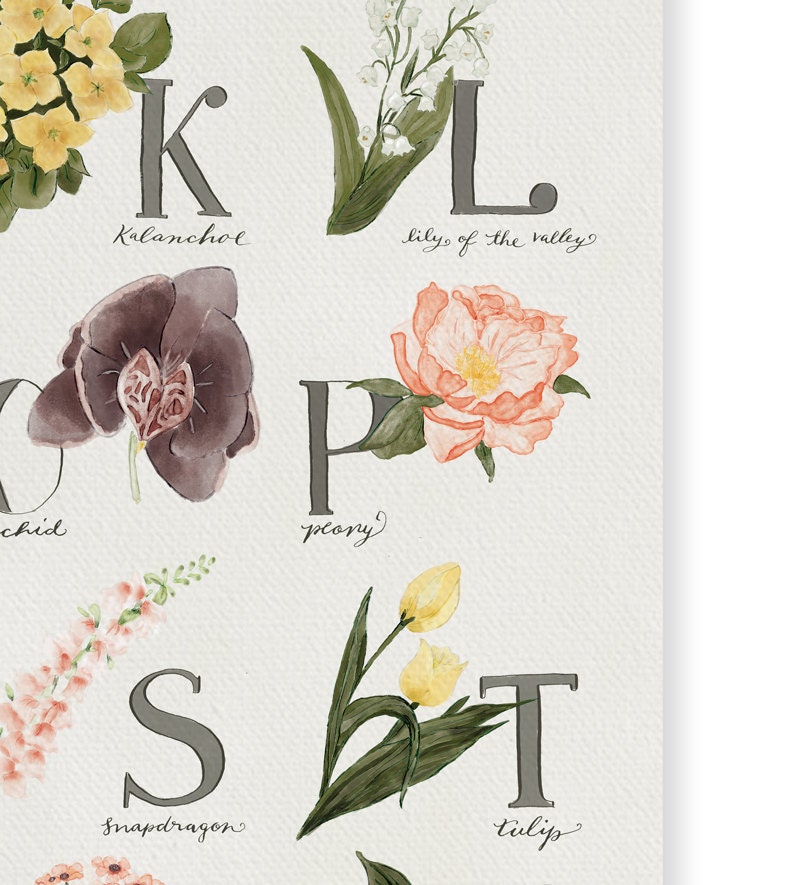Botanical Alphabet Canvas Giclee Poster 16x24 // - Etsy