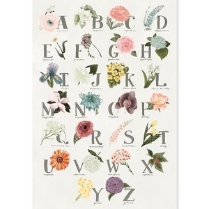 Botanical Alphabet Canvas Giclee Poster 16x24 // Alphabet Print, ABC ...