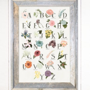 Botanical Alphabet Canvas Giclee Poster - 16"x24" // Alphabet Print ...
