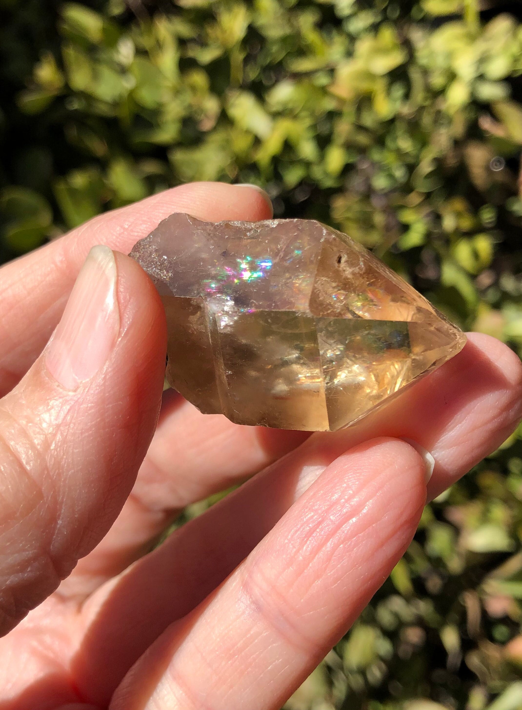 Rocks & Geodes Hallelujah Junction Partial Smoky Quartz Scepter Home ...