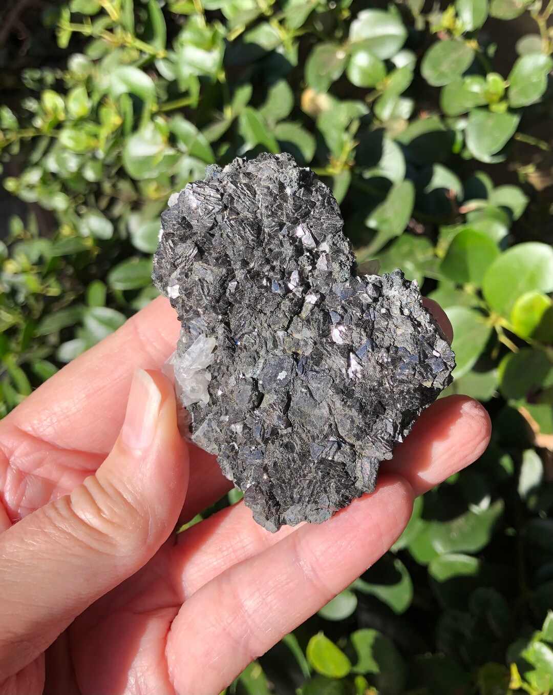 Rare Magnetite Quartz and Epidote Specimen - Etsy