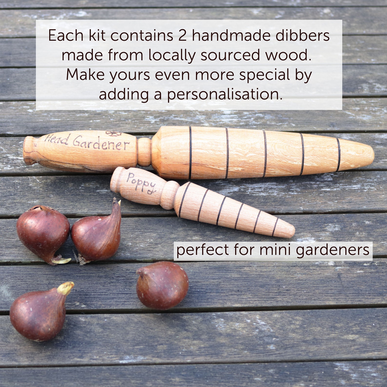 Traditional Wooden Garden Dibber Mini Seed Dibber and Bulb Planting ...