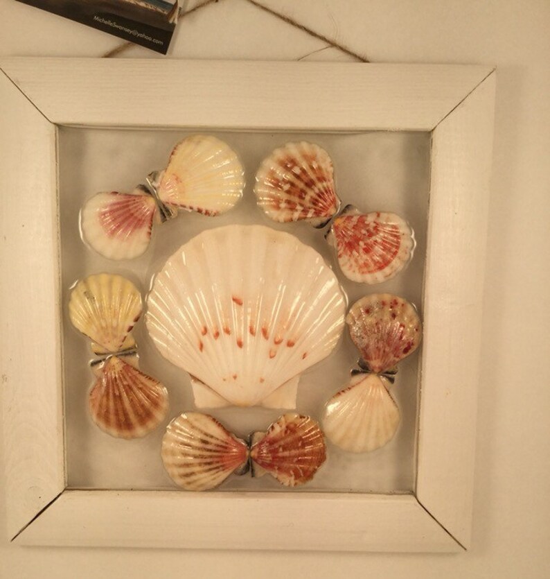 Sea Shell framed Art Scallop shell Art Coastal Decor White | Etsy
