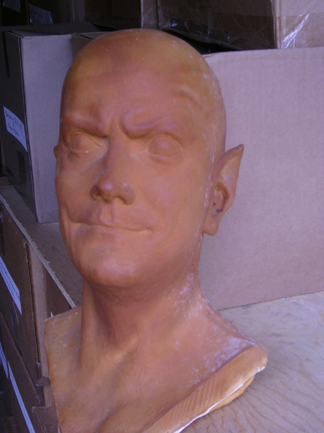 RARE!! Vintage Alvarez Wax Models "dr.lady" Latex & Foam Display Bust ...