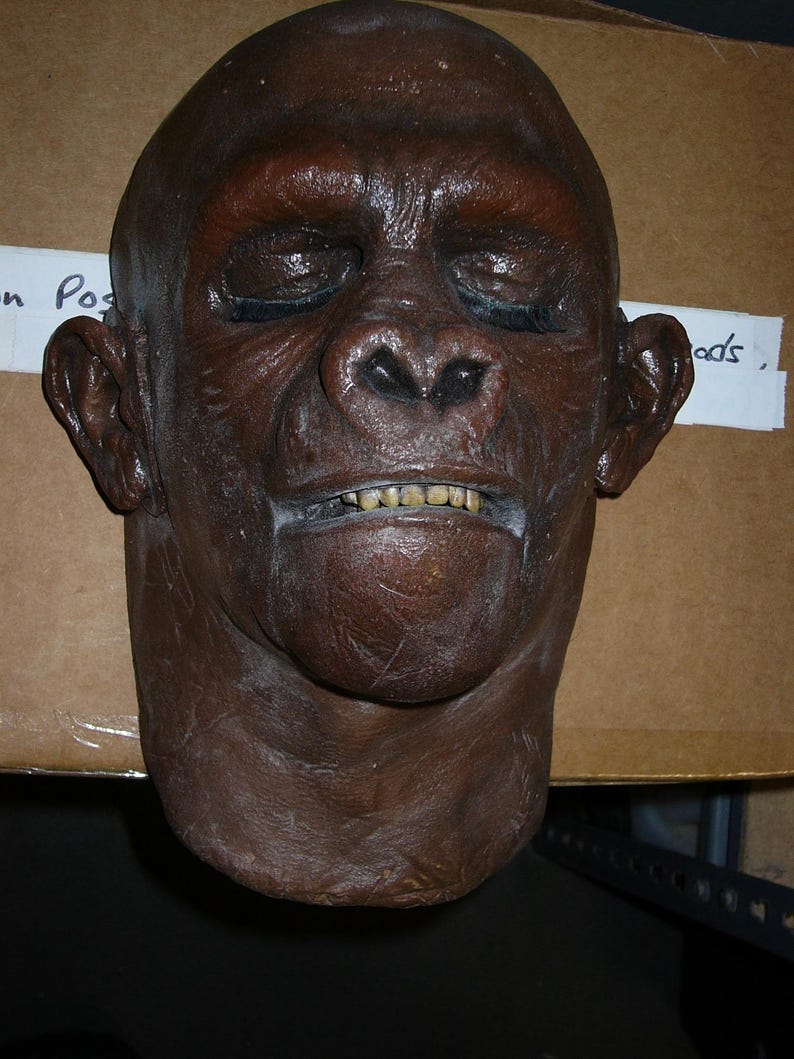WOW!! "planet of the Apes" Gorilla Appliance Display Face - Etsy