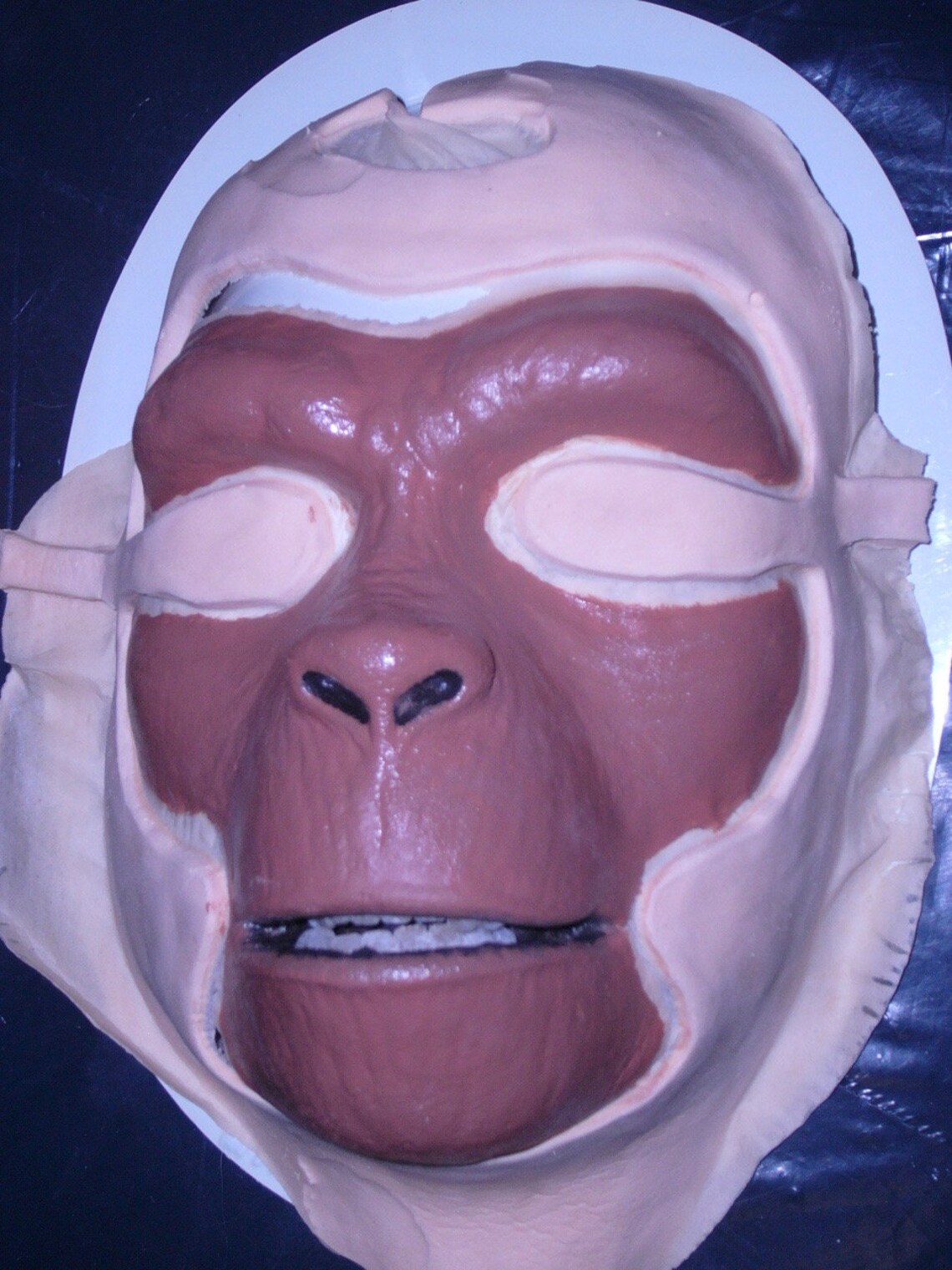 WOW!! Famous Monsters of Filmland "planet of the Apes" Lucius Teen ...