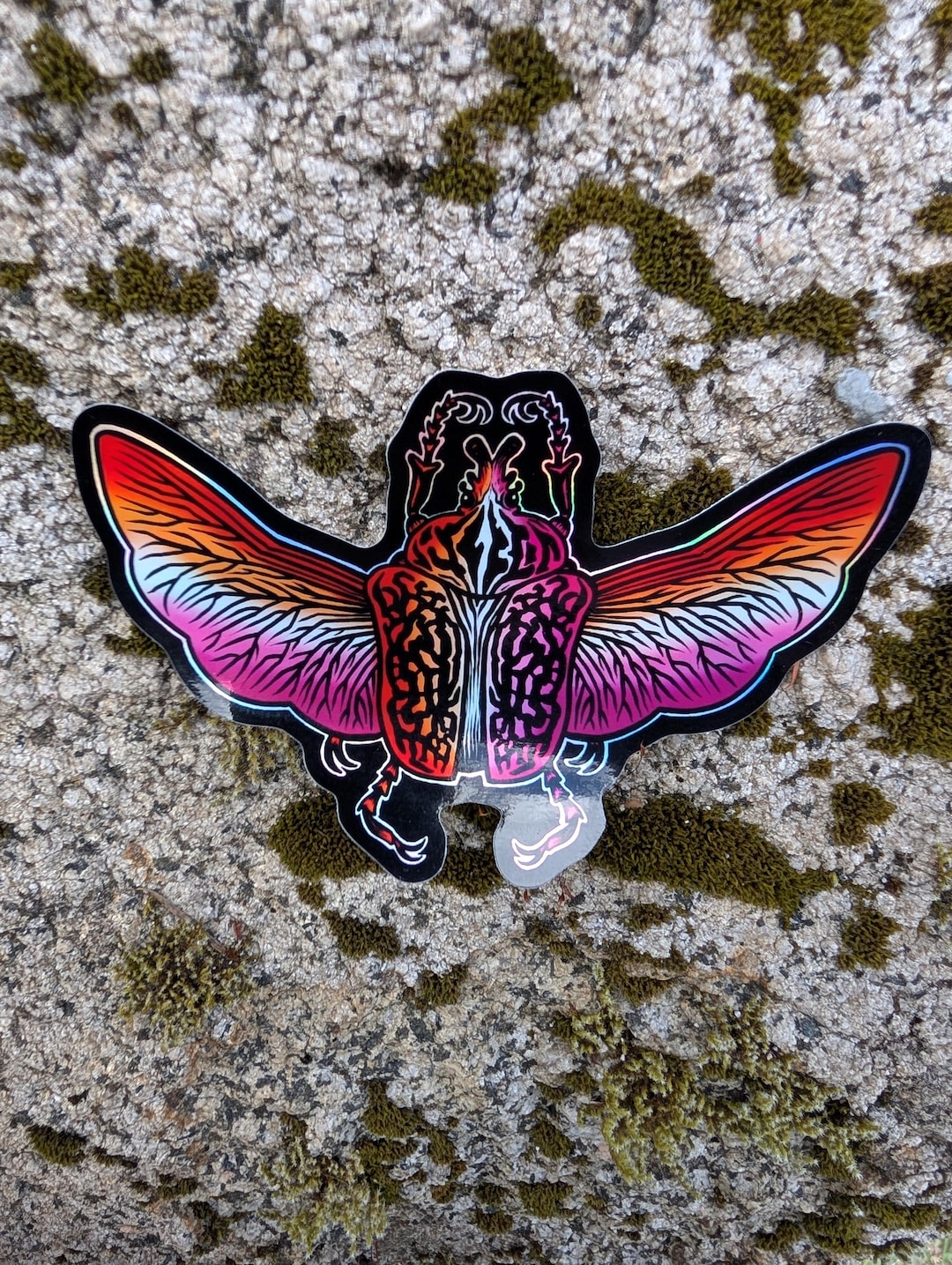 Lesbian Pride Flag Holographic Goliath Beetle Sticker - Etsy