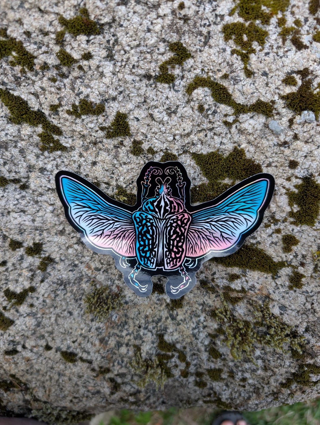 Trans Pride Flag Holographic Goliath Beetle Sticker - Etsy