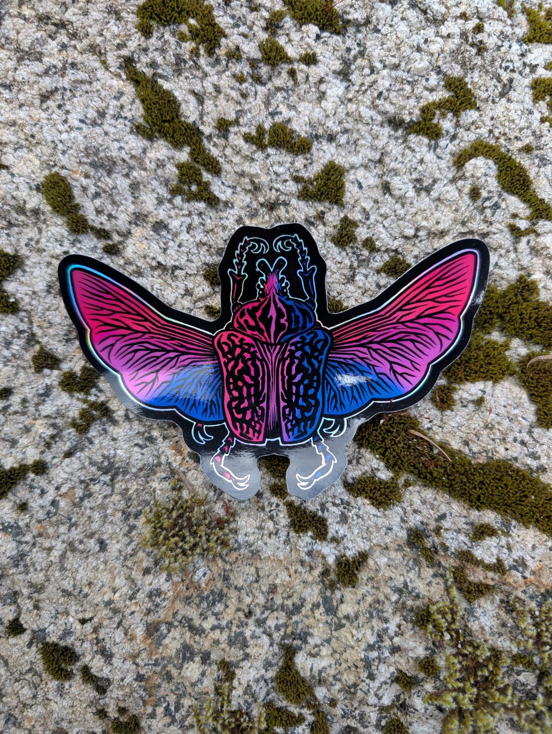 Bisexual Pride Flag Holographic Goliath Beetle Sticker - Etsy