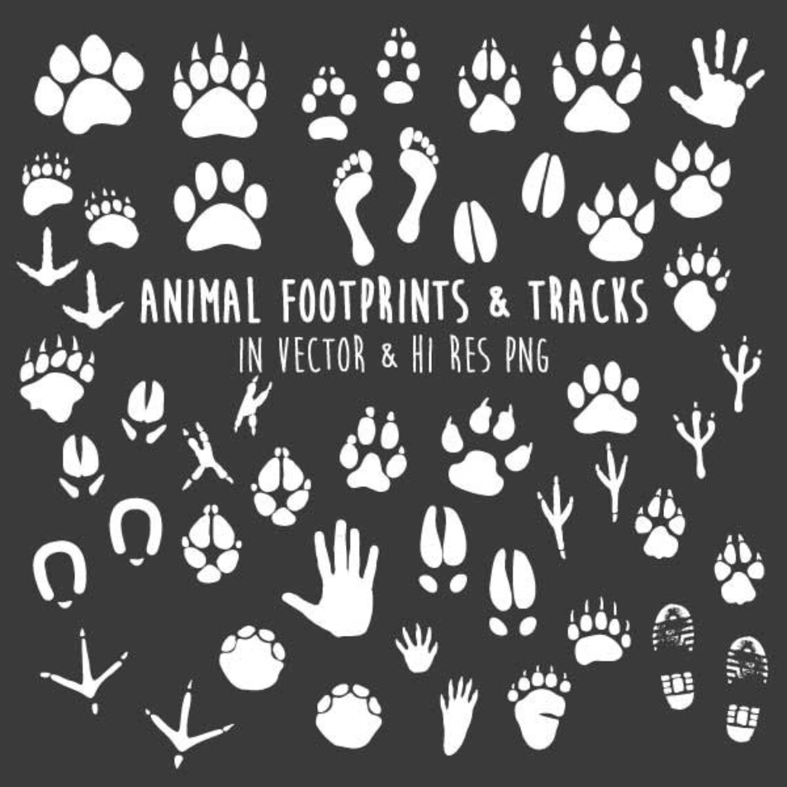 Animal Tracks SVG, Animal SVG, Animal Print Clipart, Animal Footprint ...