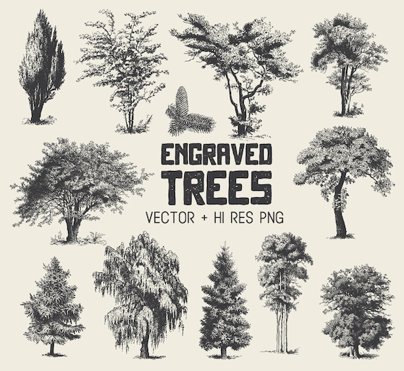 Sketched Tree Vector Clipart
