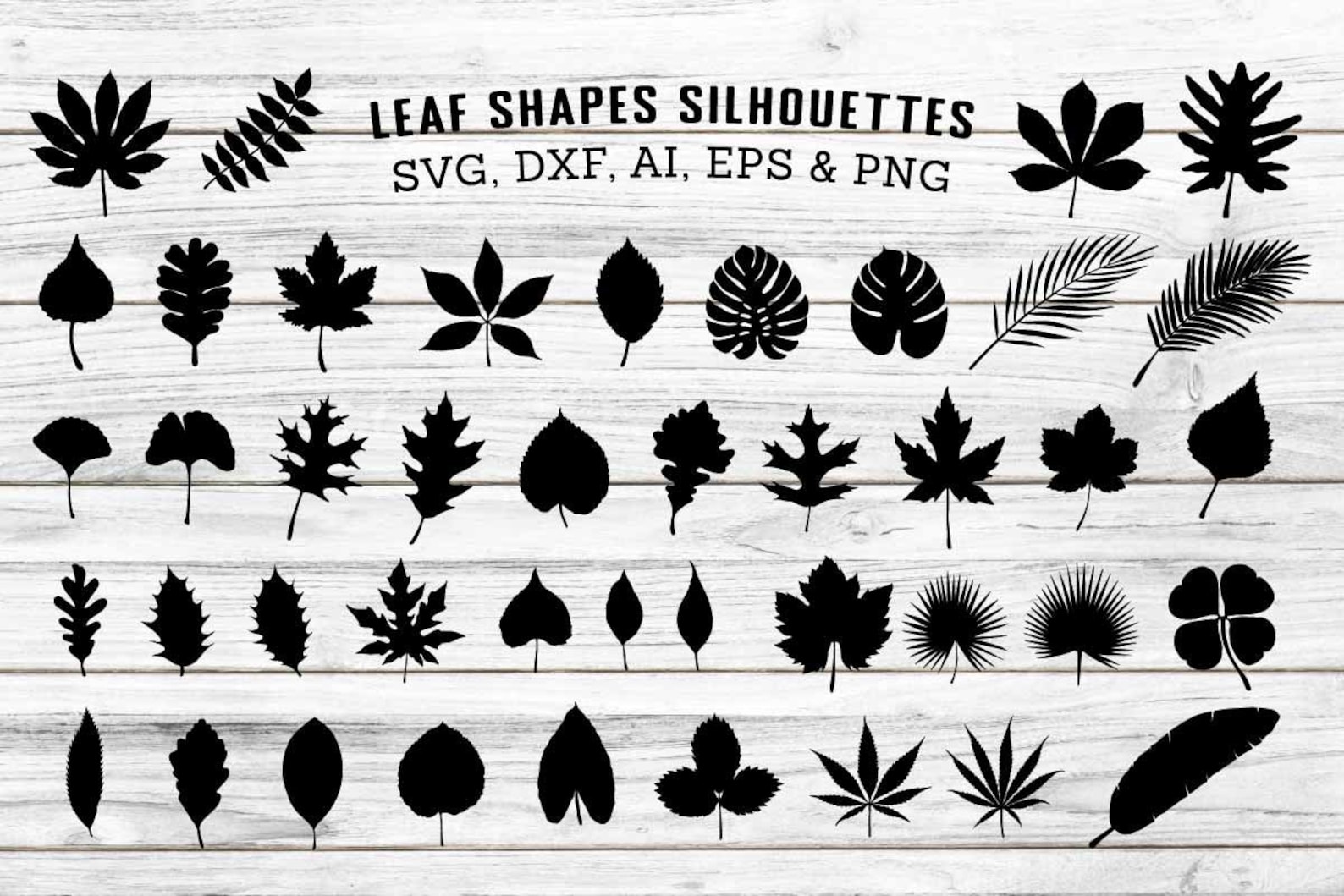 Feuille SVG Feuilles Silhouette SVG Feuille DXF Feuilles - Etsy France