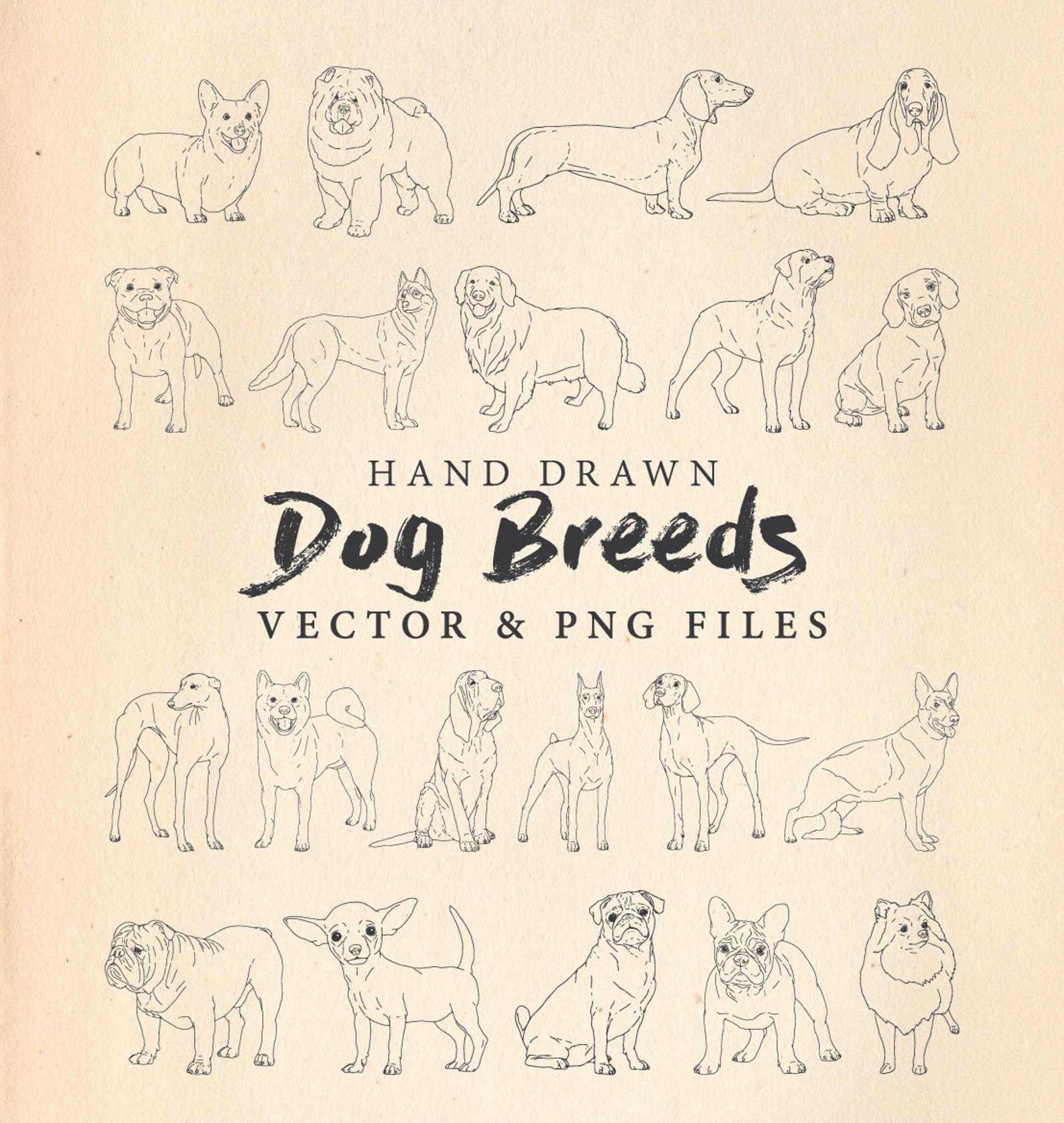 Hand Drawn Dog Breeds Dog Breeds Clipart Dog Drawing Dog | Etsy