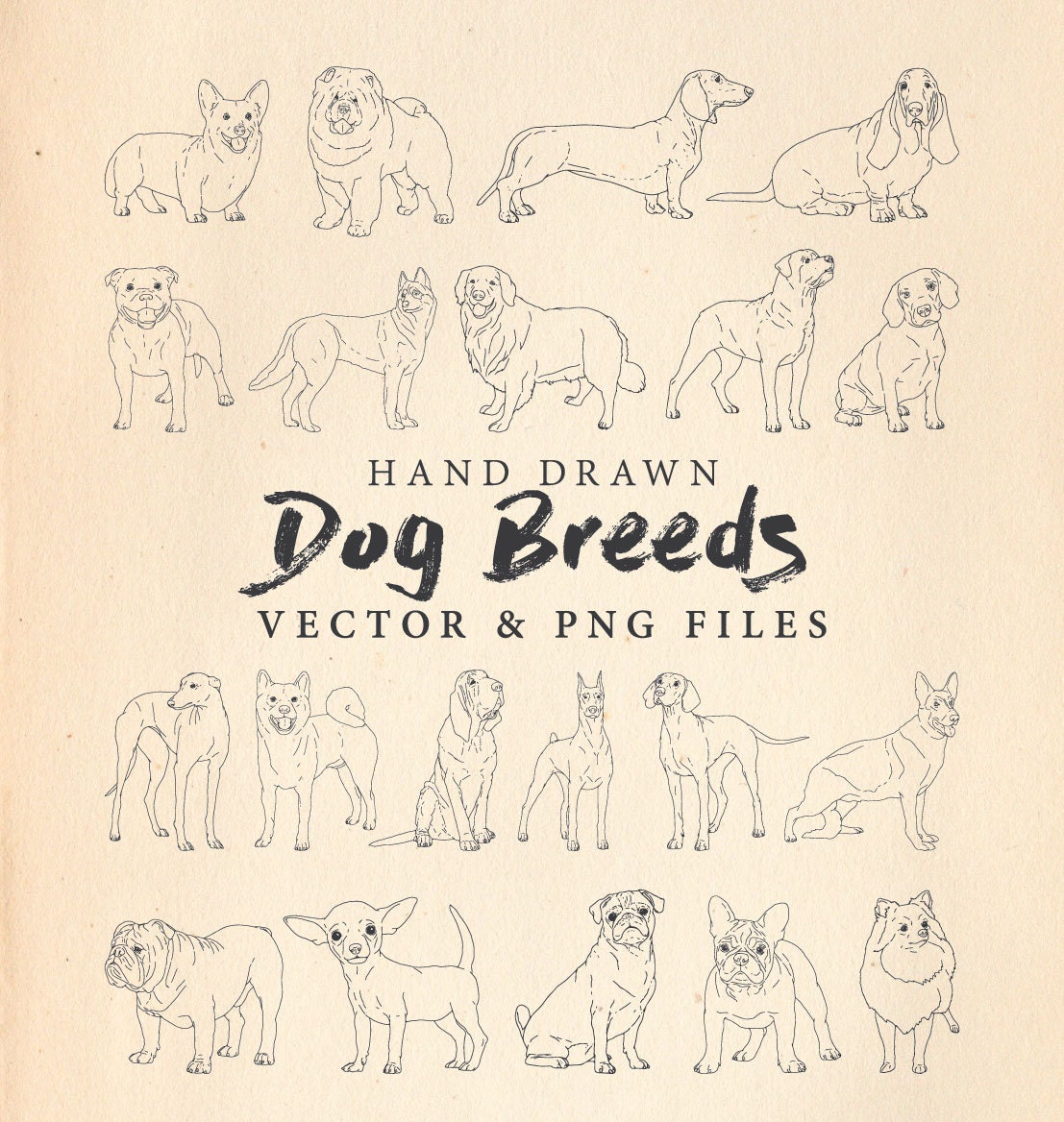 Hand Drawn Dog Breeds Dog Breeds Clipart Dog Drawing Dog - Etsy