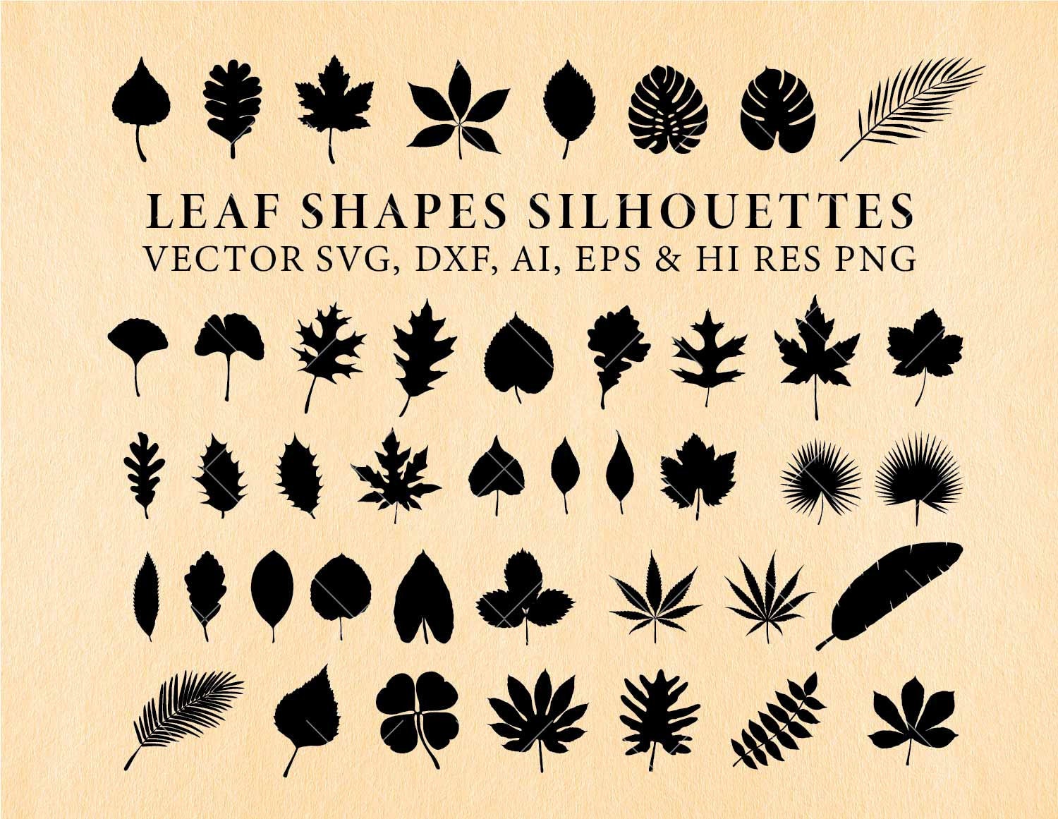 Hoja SVG Hojas Silueta SVG Hoja DXF Hojas Dxf Formas hojas | Etsy