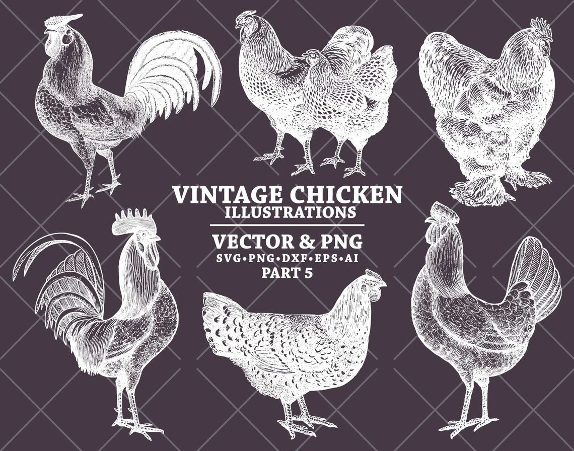 Chicken SVG Vintage Chicken Drawing Hand Drawn Chicken - Etsy