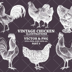 Pollo SVG Dibujo de pollo vintage Ilustración de pollo - Etsy España