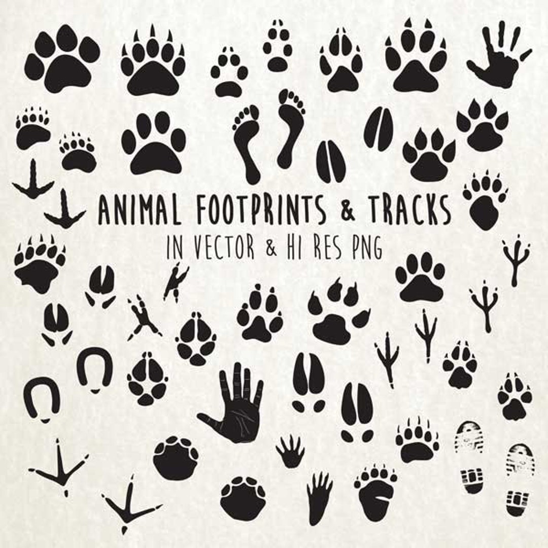 Animal Tracks SVG, Animal SVG, Animal Print Clipart, Animal Footprint ...