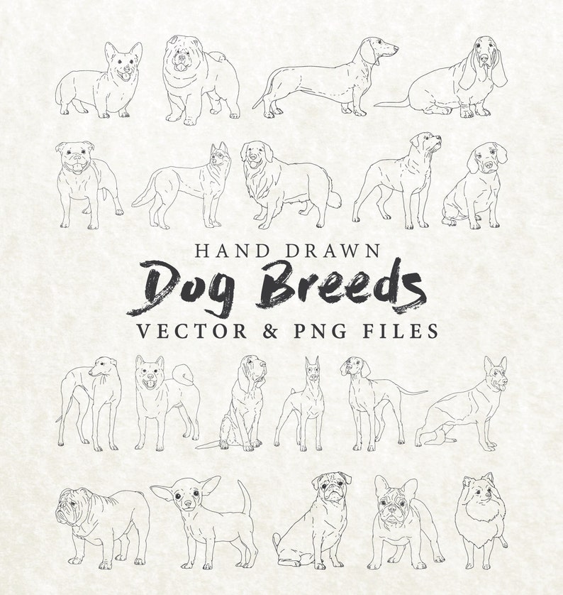 Hand Drawn Dog Breeds Dog Breeds Clipart Dog Drawing Dog | Etsy