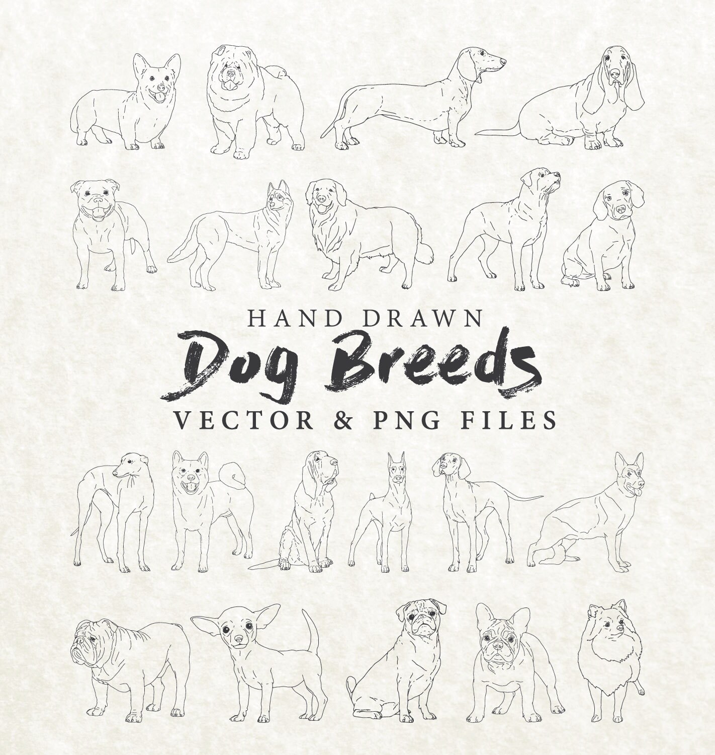 Hand Drawn Dog Breeds Dog Breeds Clipart Dog Drawing Dog - Etsy