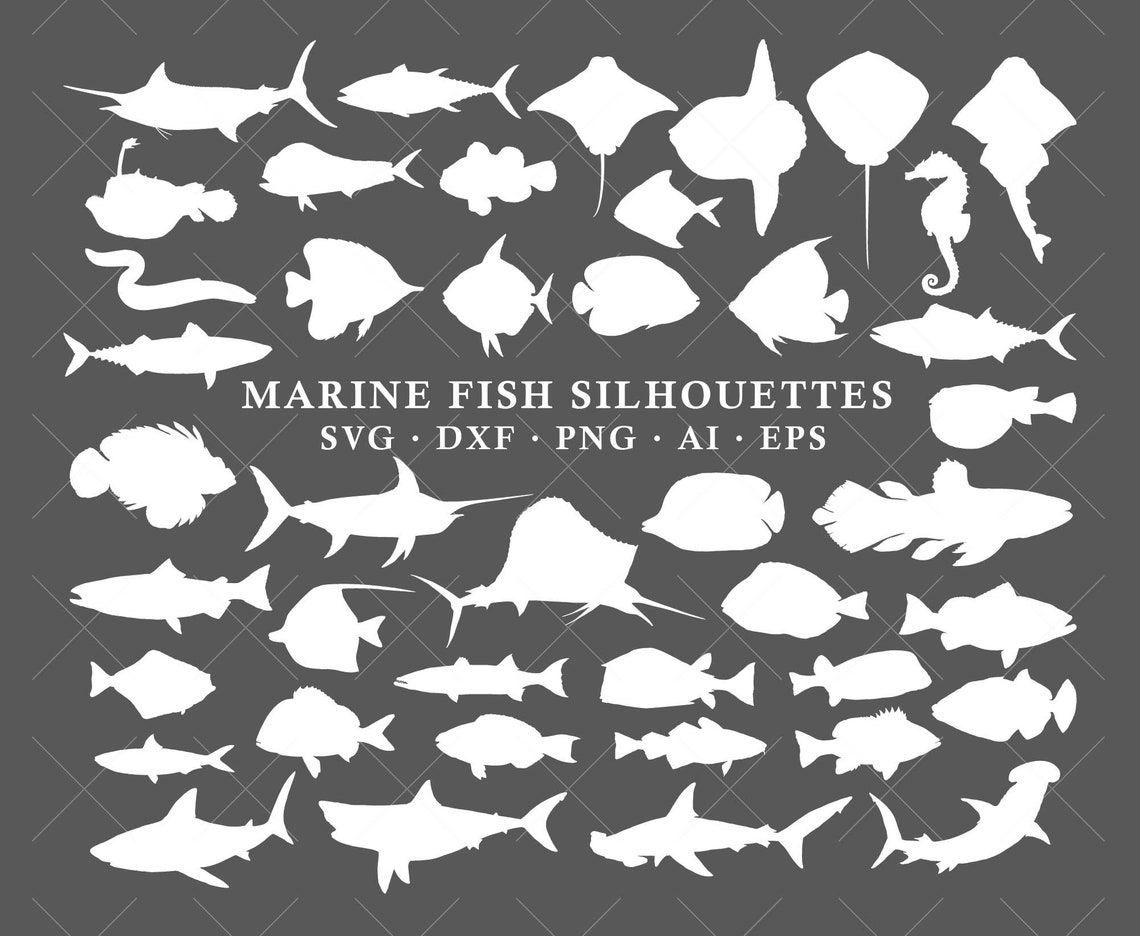 Marine SVG & Fish SVG Silhouettes fishing SVG Sea Animals - Etsy