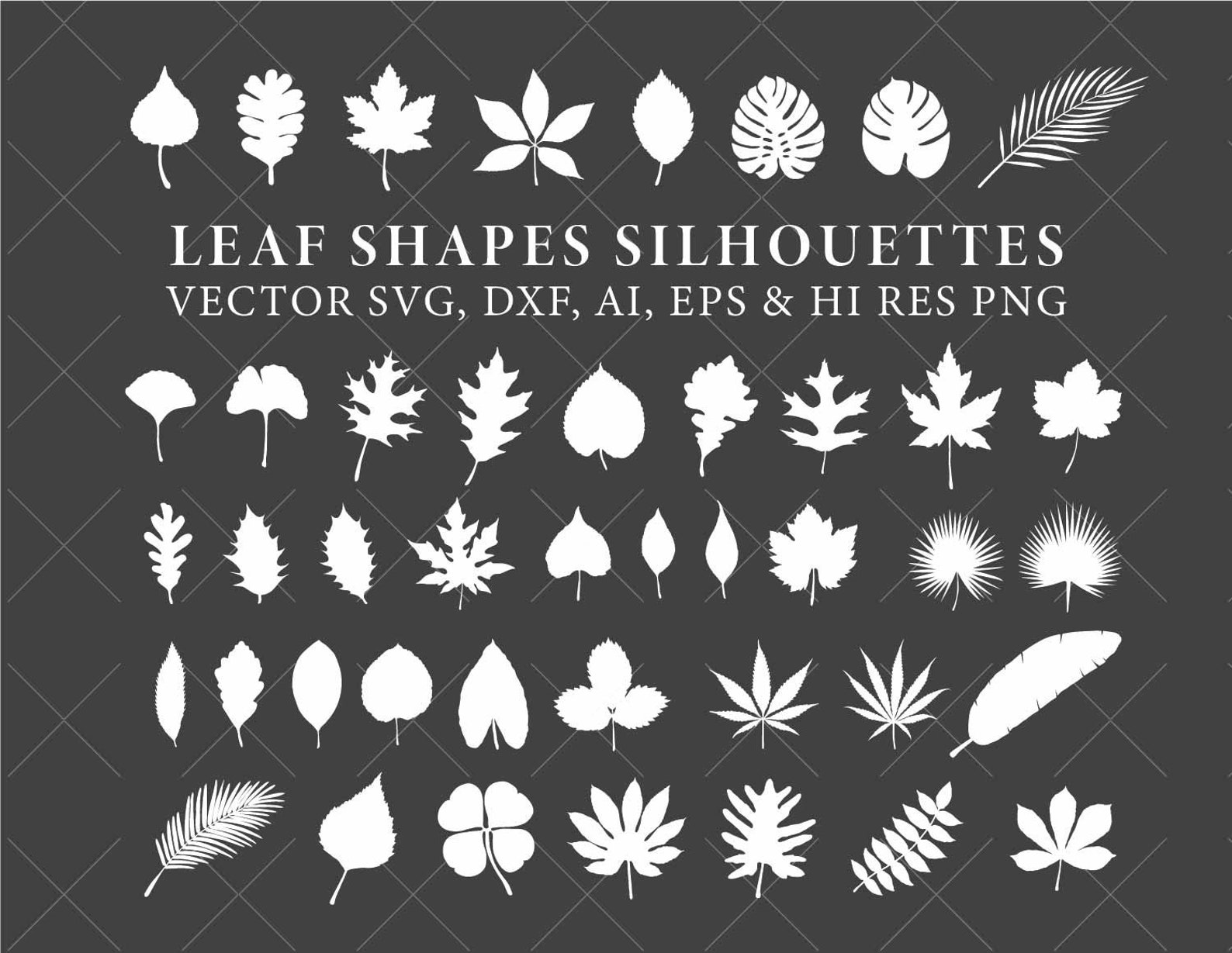 Hoja SVG Hojas Silueta SVG Hoja DXF Hojas Dxf Formas hojas | Etsy