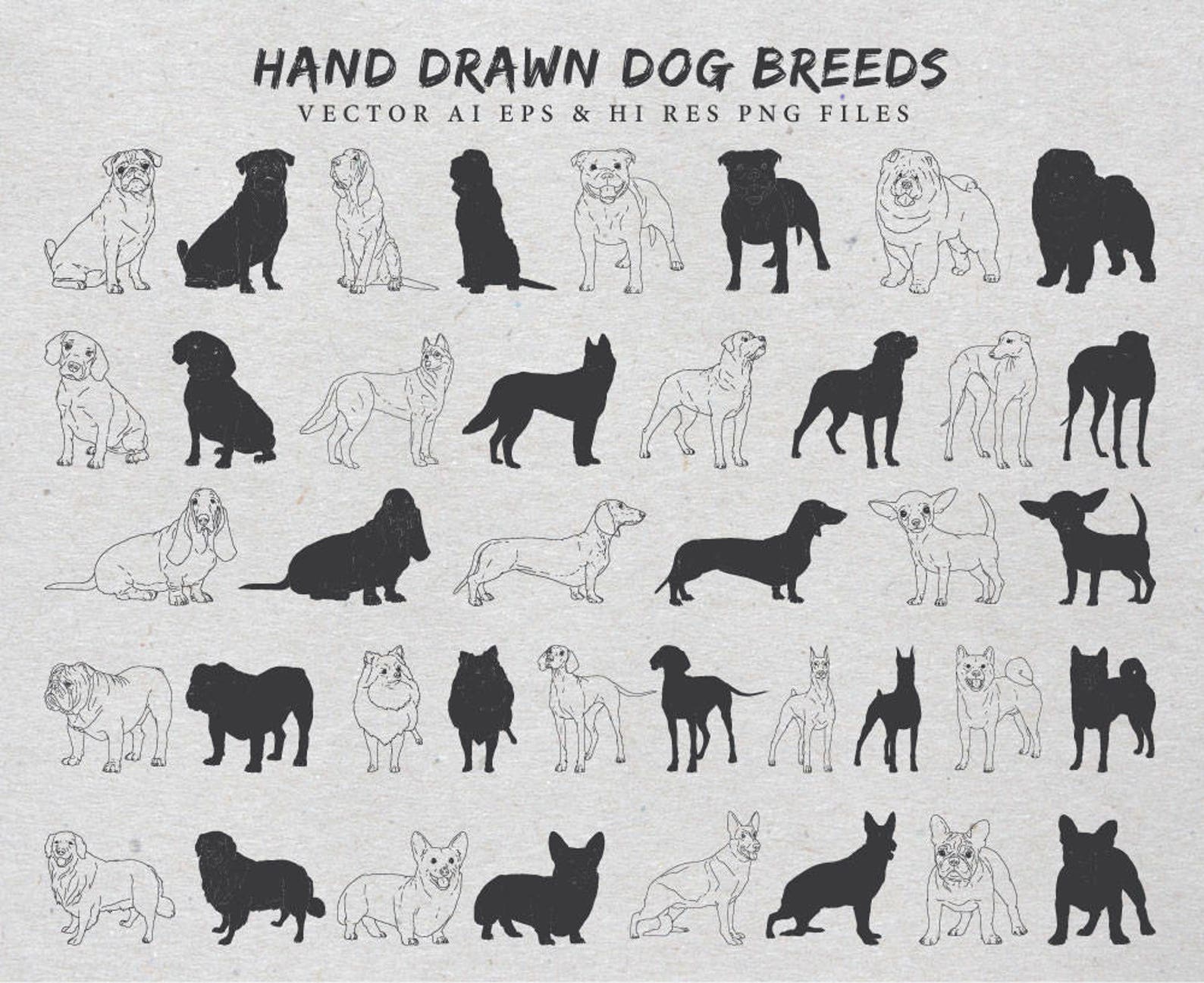 Hand Drawn Dog Breeds Dog Breeds Clipart Dog Drawing Dog | Etsy